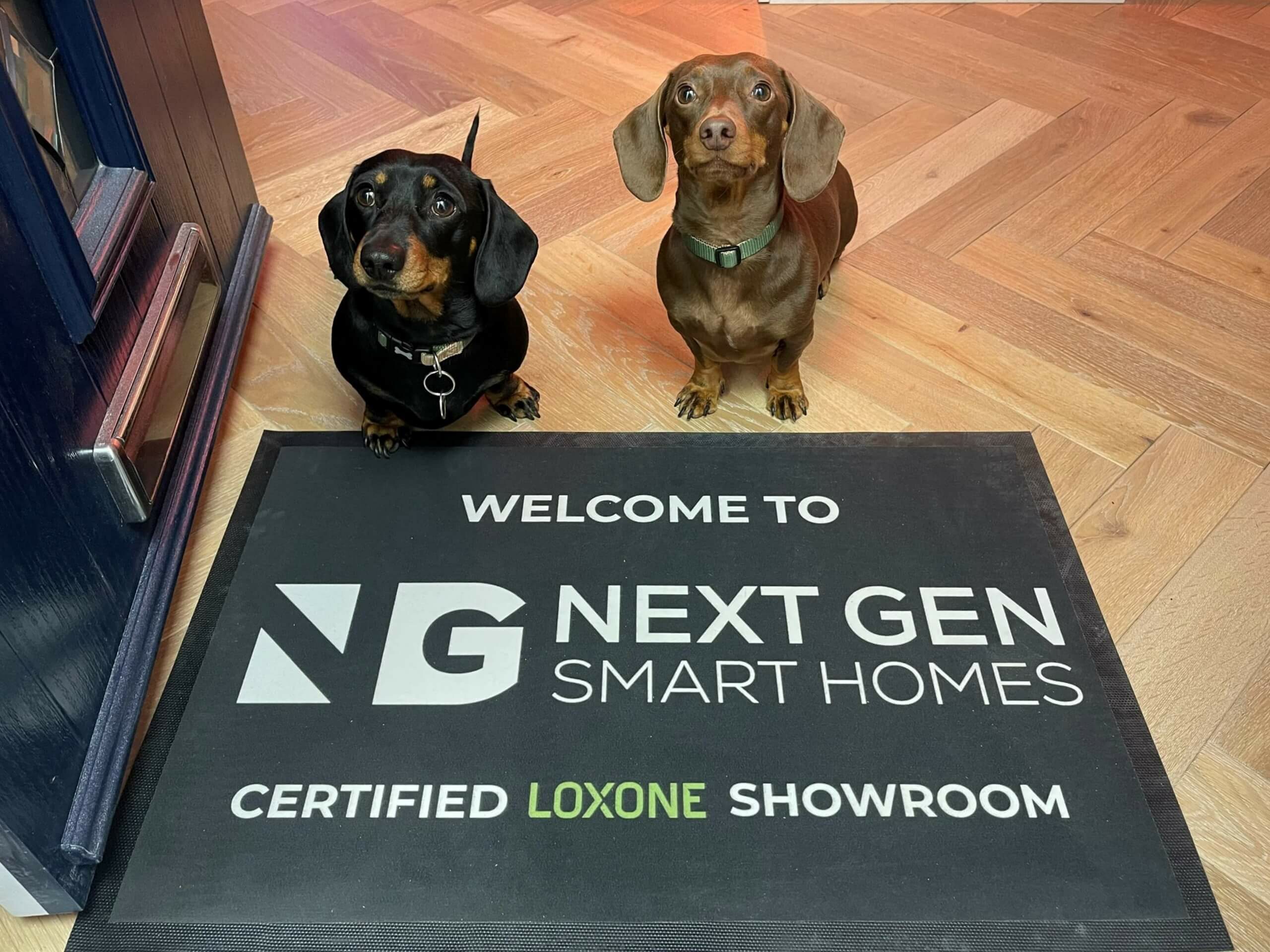 Blog - Next Gen Smart Homes Showroom | Loxone