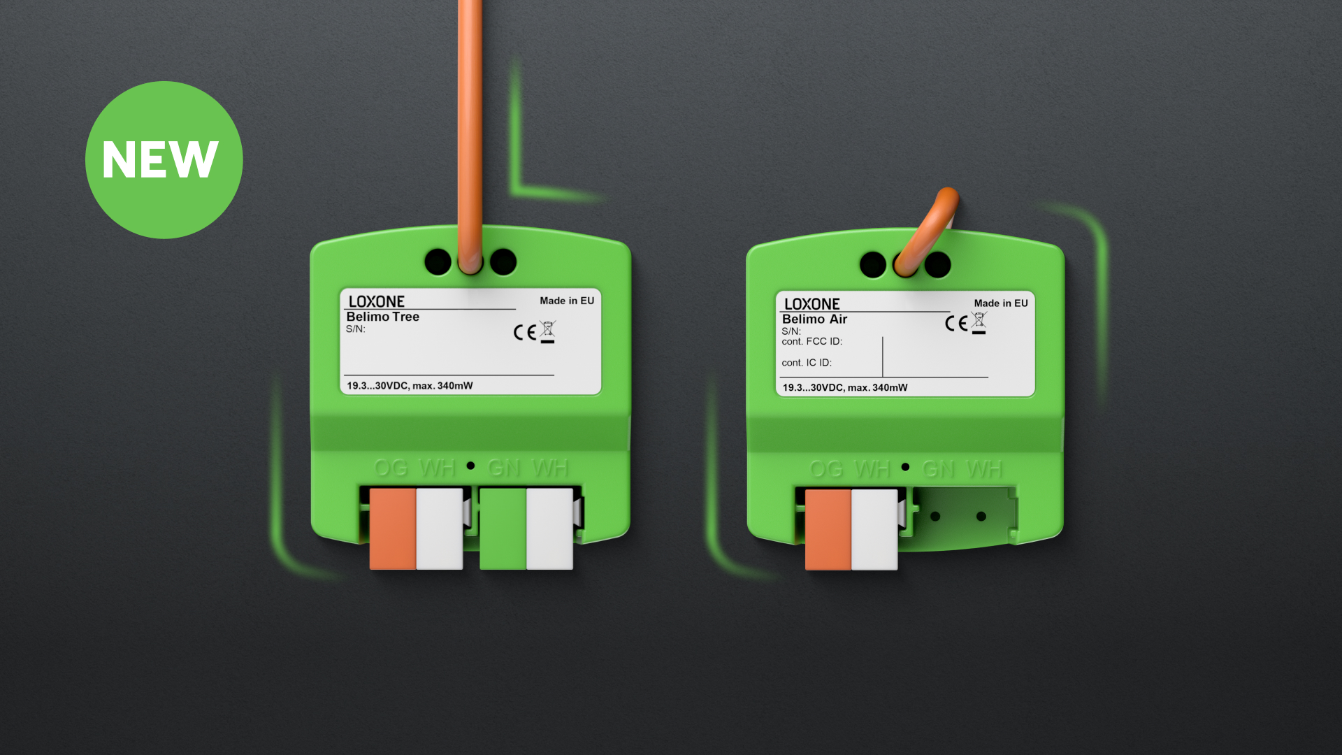 Blog - New: Belimo Tree & Air | Loxone