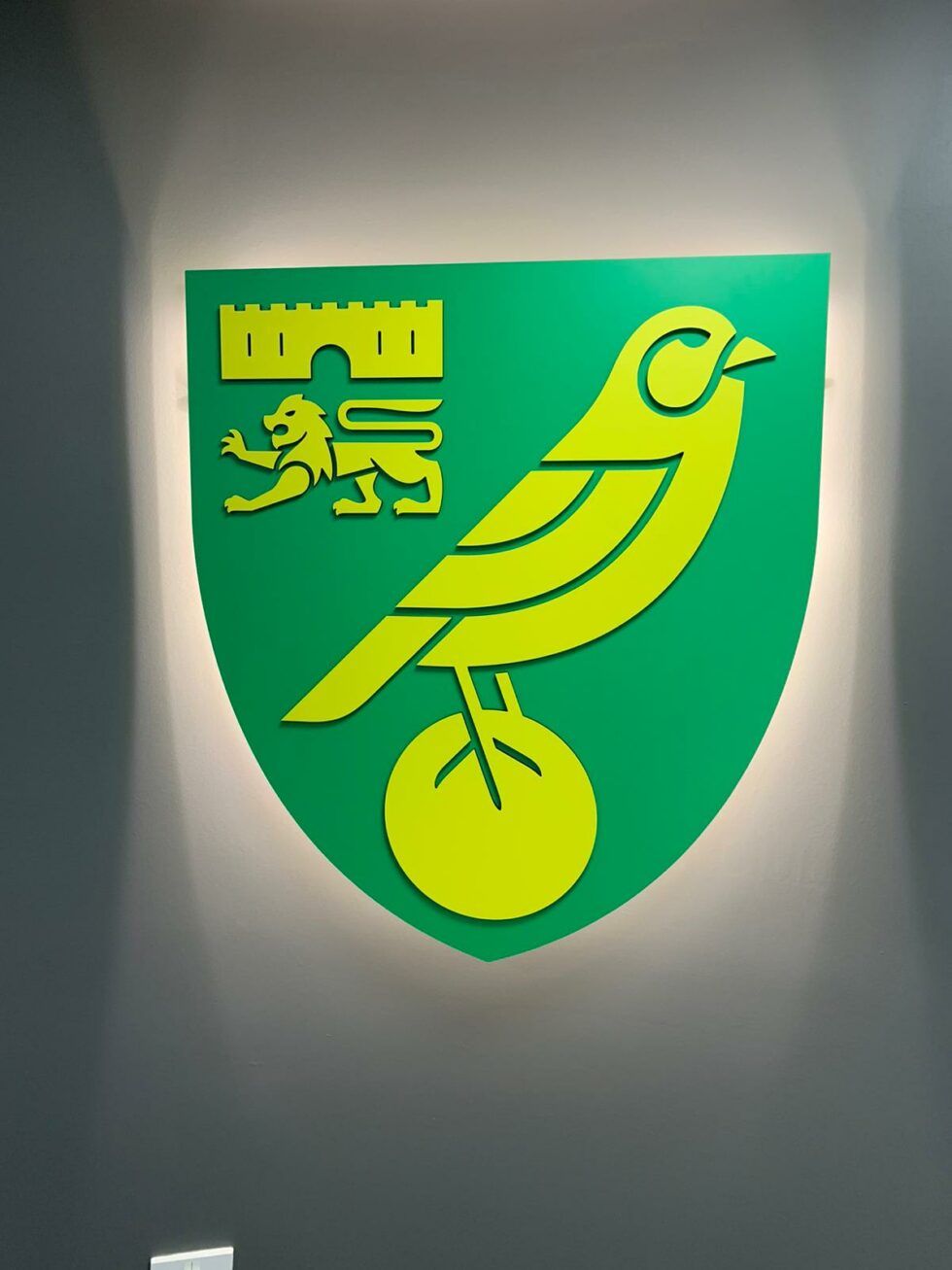 Blog - Norwich City FC Stadium - Energy Management Audit | Loxone