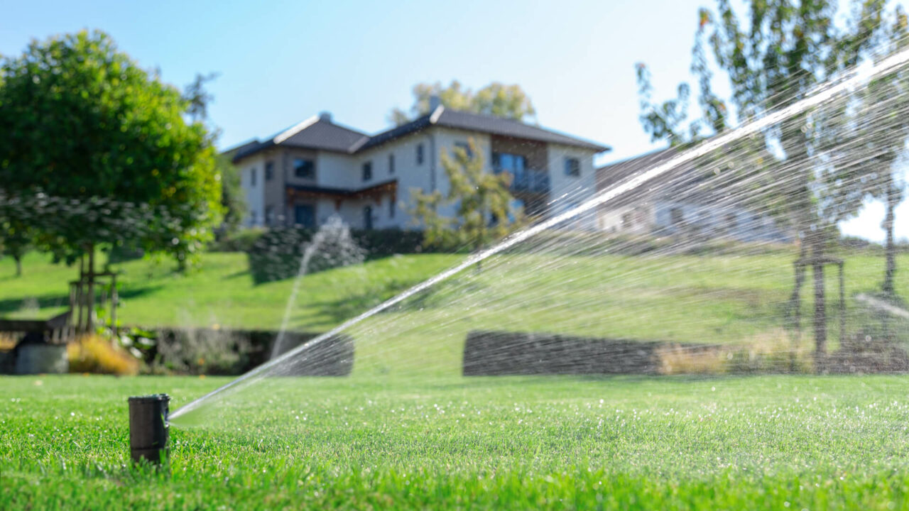 Smart garden helpers: 6 recommendations for an intelligent garden ...