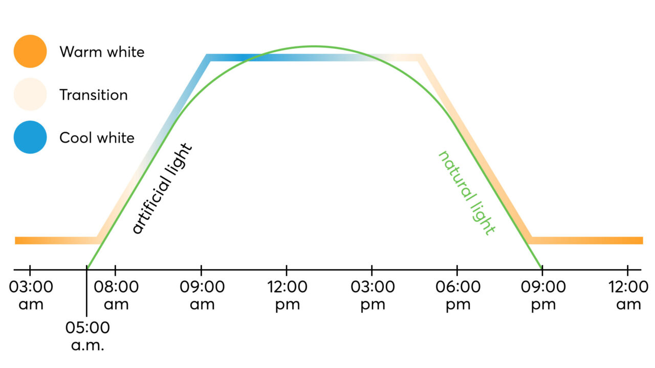 Blog - Boost Productivity and Health with Smart Daylight Control | Loxone